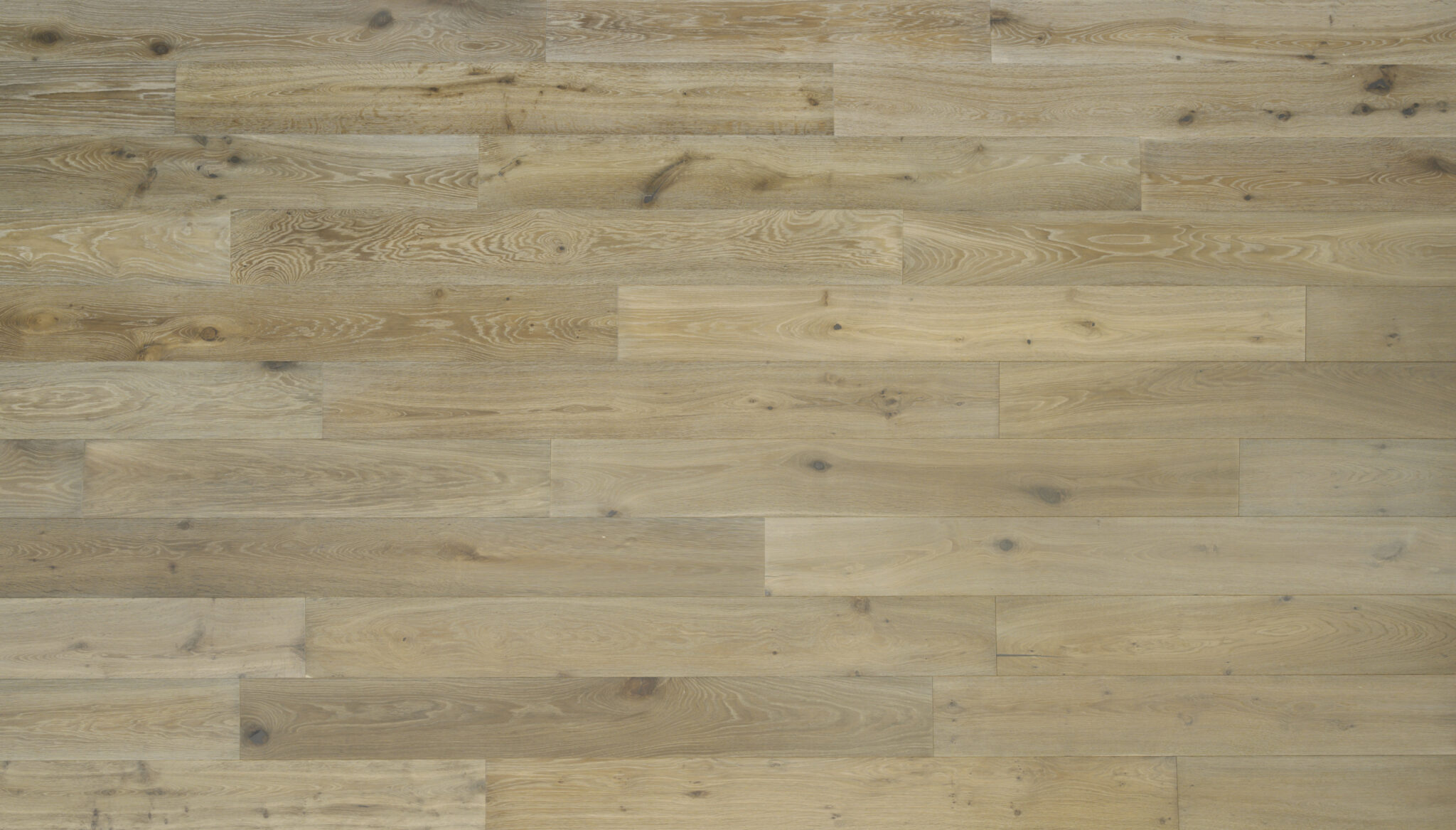 Loreo | Venezia | Engineered Hardwood | Norwood Hills
